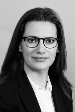 Reiling • The Laws of Social Cohesion